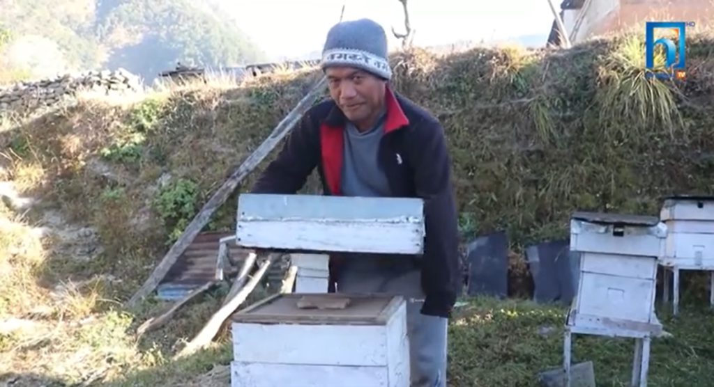 बागलुङमा मौरी पालनमा आकर्षण, व्यवसायिक बन्दै मह उत्पादन (भिडियो ...